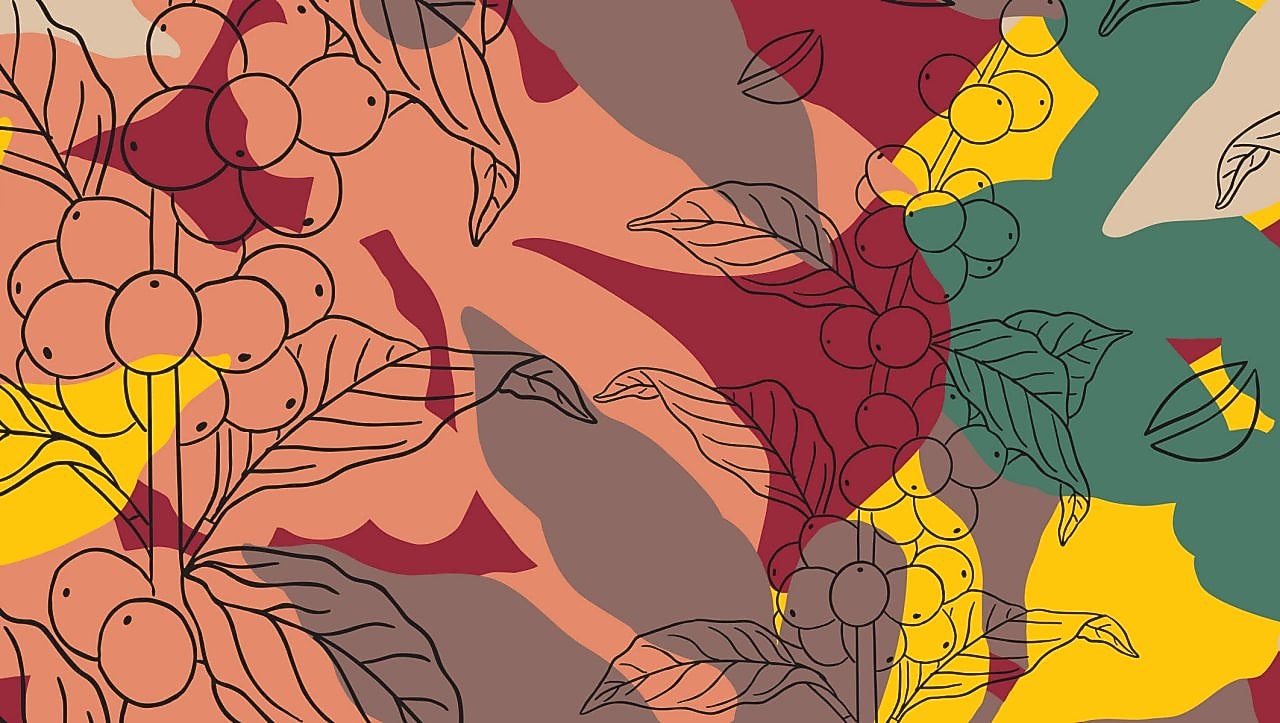 Shell Select | Shell Argentina